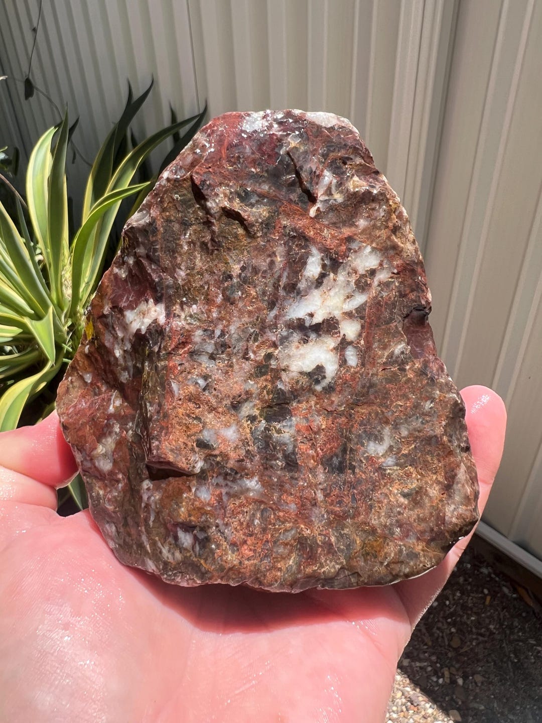 Australian Rough Brecciated Jasper Chalcedony Boulder 1100 Grams ...