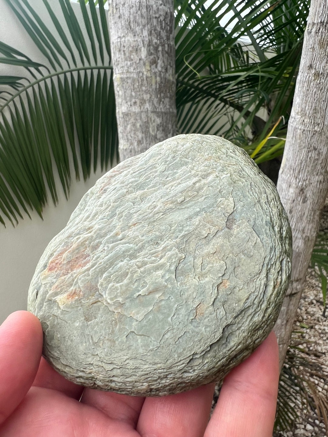 Australian Rough Green Phyllite Silicified 286 Grams Natural Raw ...