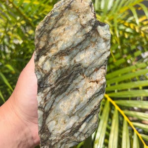 Australian Rough Gemmy Chalcedony Chert 1530 Grams Natural Raw Specimen ...