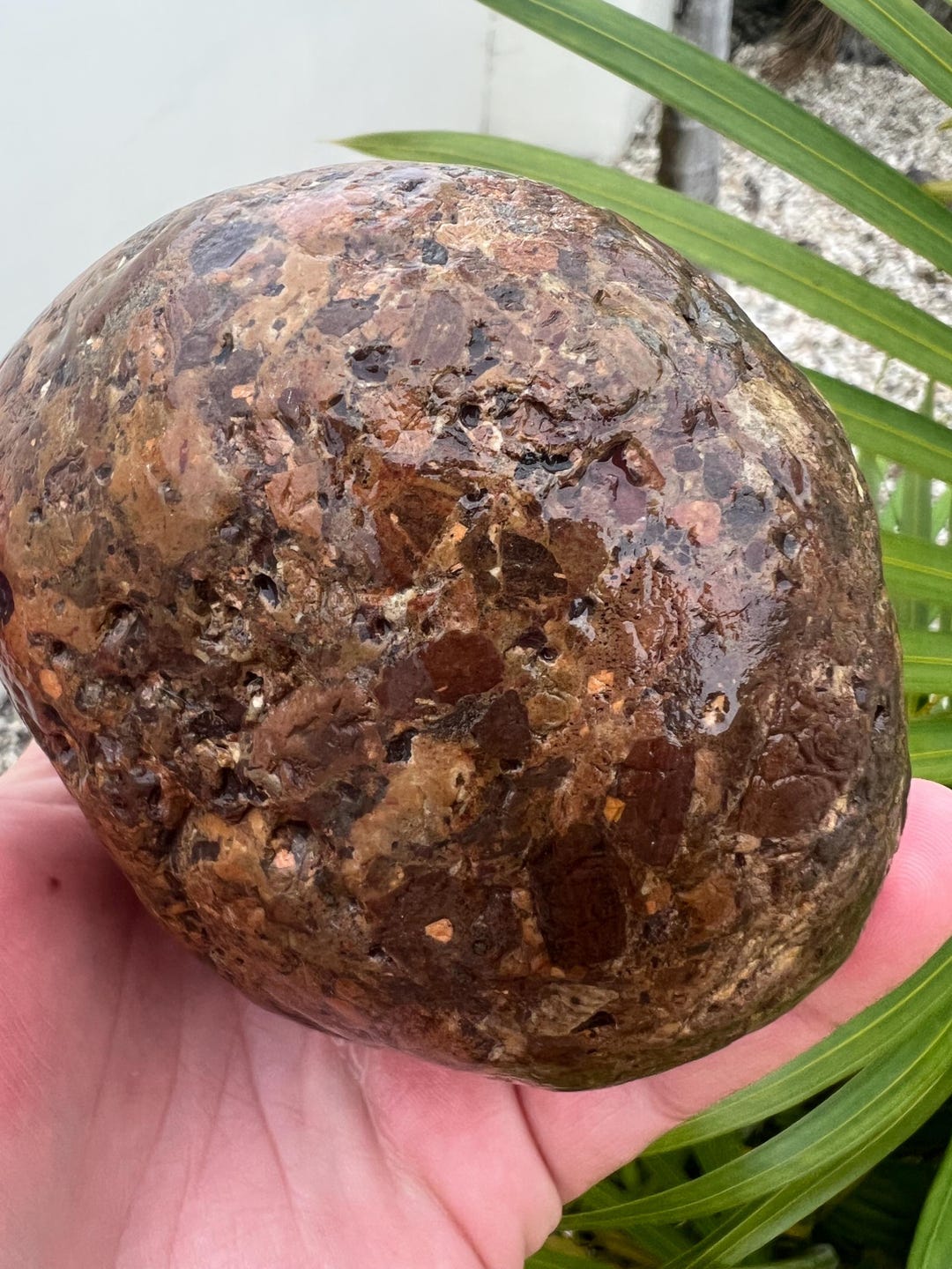 Australian Rough Chalcedony Breccia Chunk 800 Grams Rhyolite Natural ...