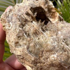 Australian Rough Thunderegg Sheet Quartz Chalcedony Botryoidal Druzy ...