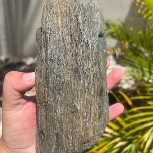 Australian Rough Sparkling Mica Schist 1960 Grams High Quality Natural ...