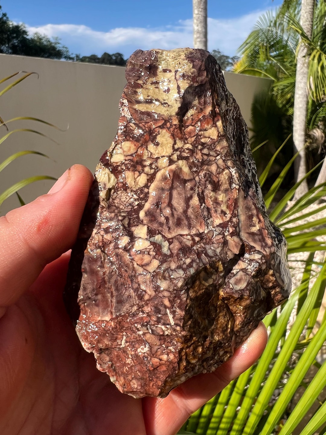Australian Rough Rhyolite Breccia Chunk 418 Grams Rhyolite Natural Raw ...