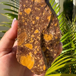Australian Rough Breccia Rhyolite Chunk 603 Grams Chalcedony Natural ...