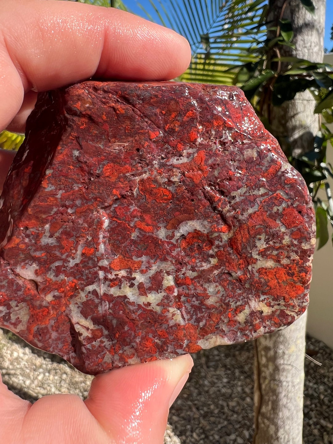 Australian Rough Cinnabar Chunk 295 Grams Natural Raw Specimen Mercury ...