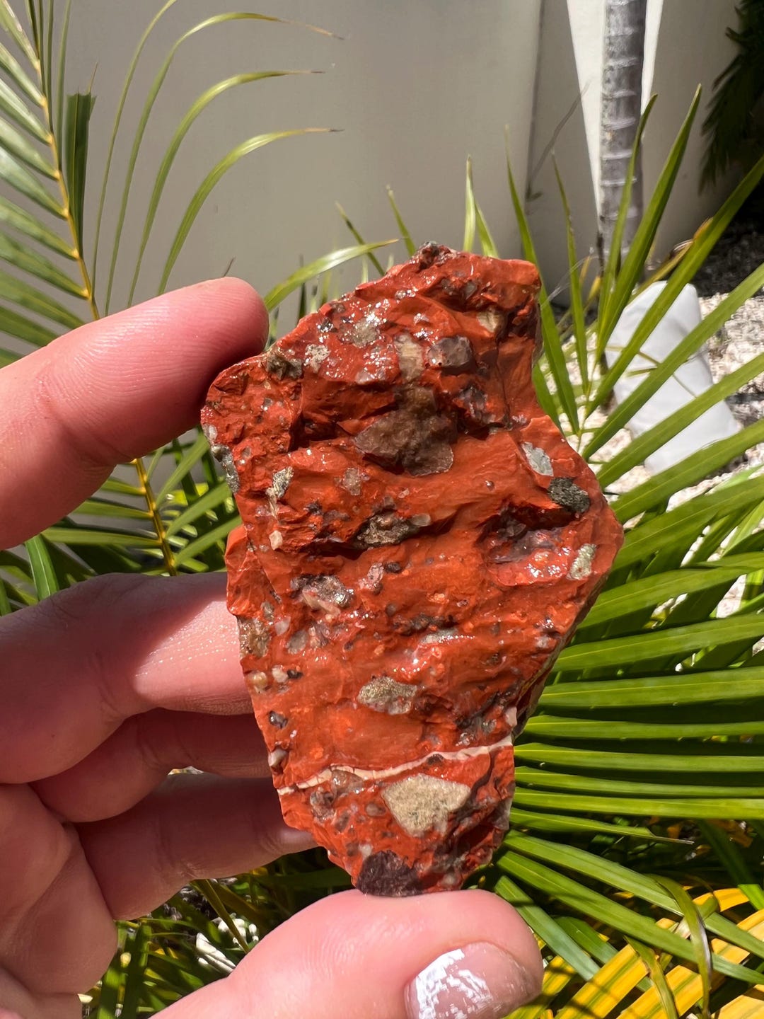 Australian Rough Rhyolite Breccia Chunk 74 Grams Natural Raw Specimen ...