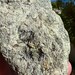 Australian Rough Serpentine Serpentinite Chunk 540 Grams Natural Raw ...