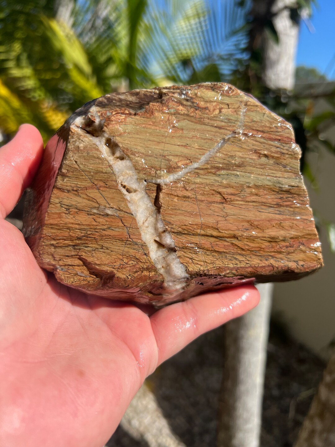 Australian Rough Waterlined Banded Chalcedony Jasper Chert 1480 Grams ...