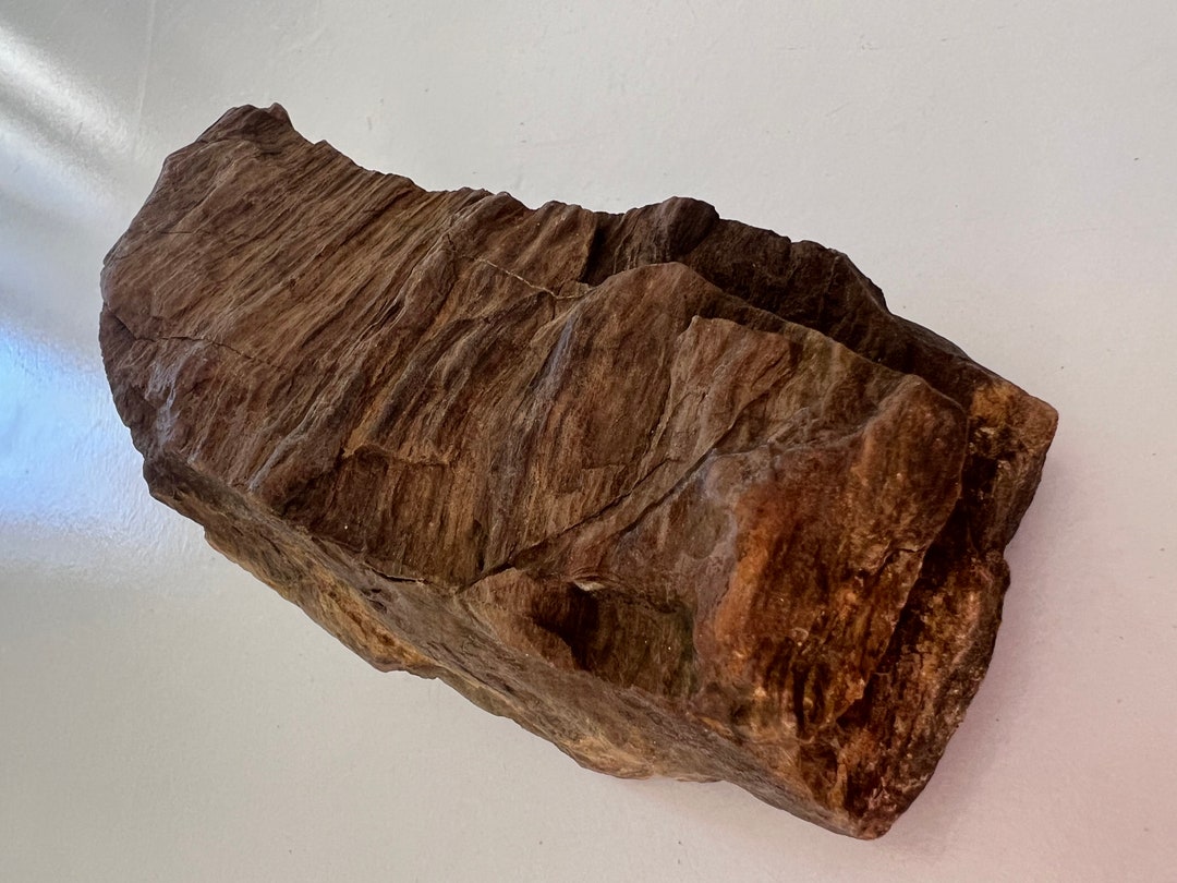 Australian Sparkling Petrified Wood Fossil 394 Grams Fossil With Quartz ...