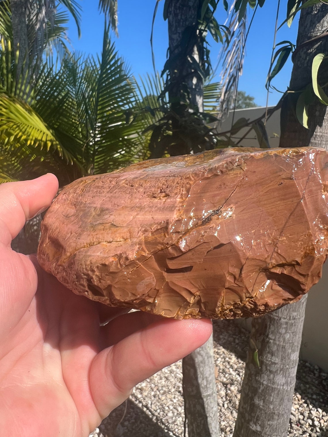 Australian Rough Waterline Jasper Chert 1120 Grams Natural Raw Specimen ...