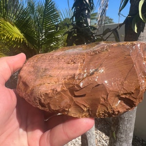 Australian Rough Waterline Jasper Chert 1120 Grams Natural Raw Specimen ...