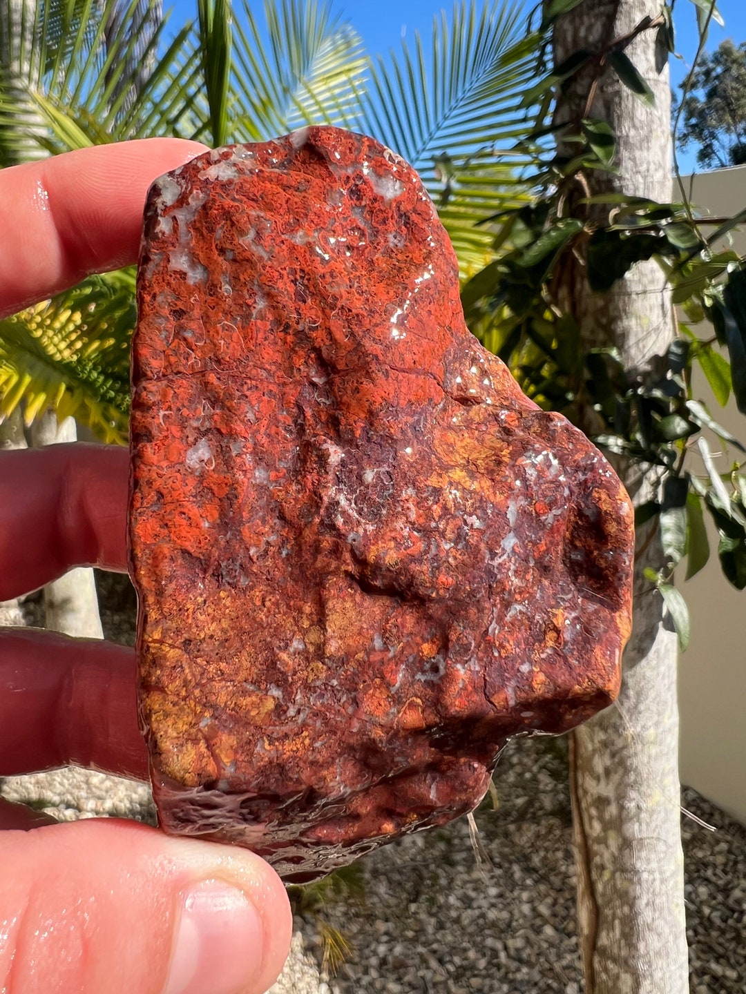Australian Rough Jasperlite Red Hematite Chunk 244 Grams Natural Raw ...