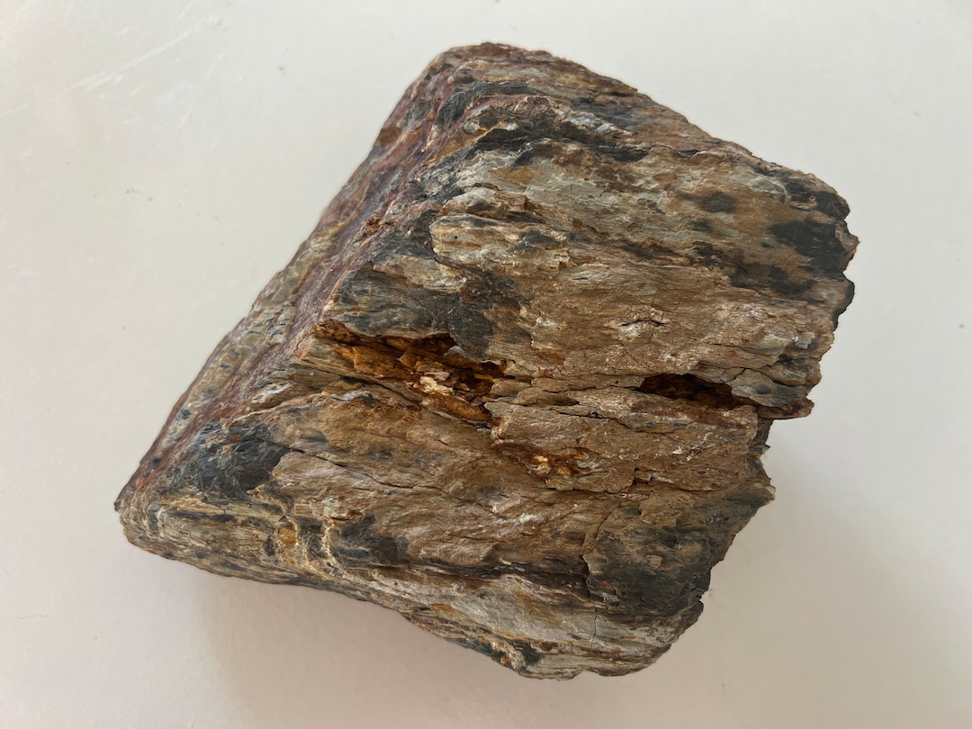Australian Rough Silicified Phyllite 2900 Grams Natural Raw Specimen ...