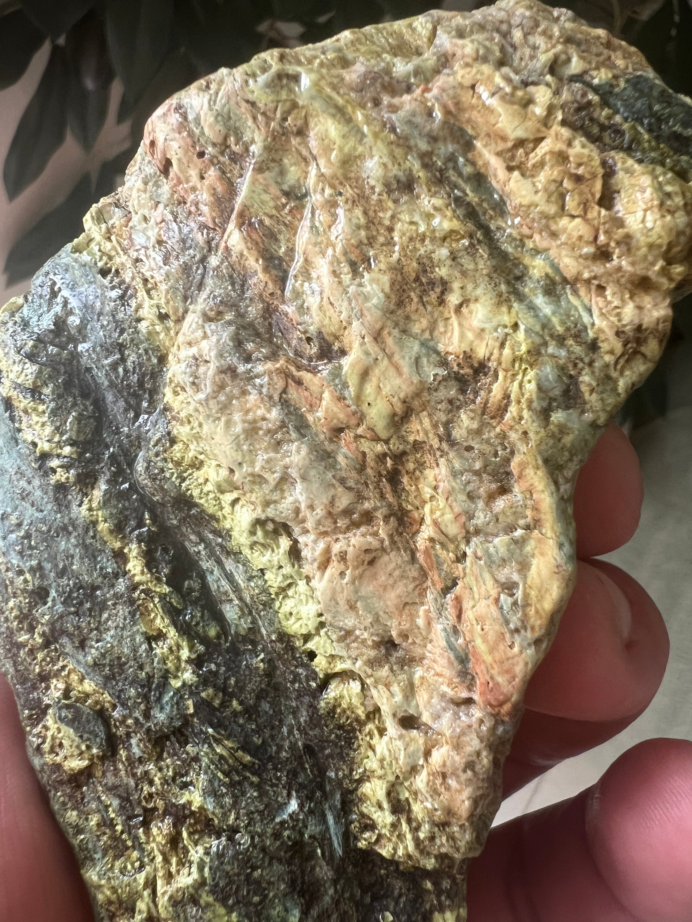 Australian Rough Chert in Phyllite Chunk 324grams Natural Raw Specimen ...