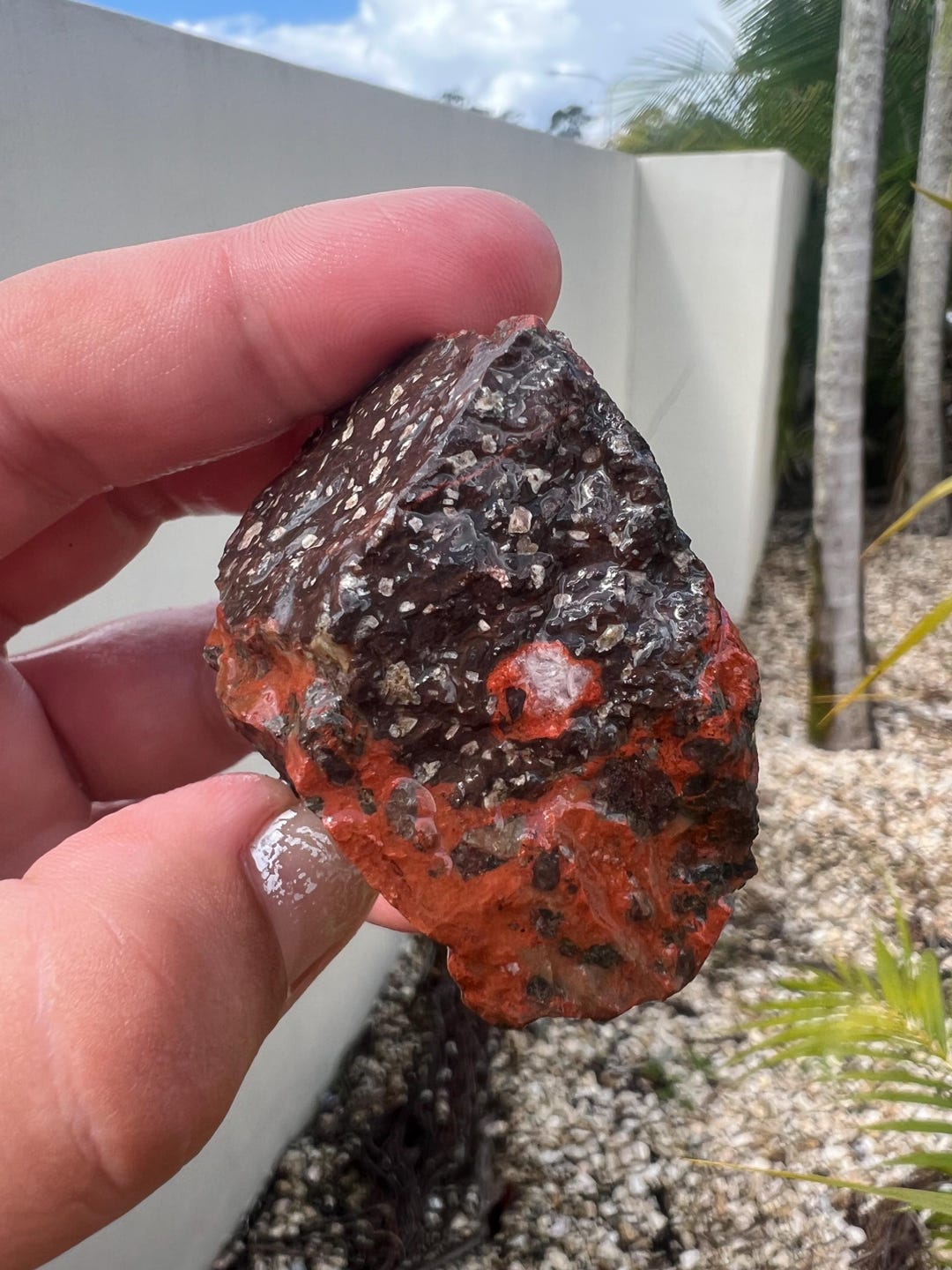 Australian Rough Rhyolite Breccia Chunk 80 Grams Natural Raw Specimen ...