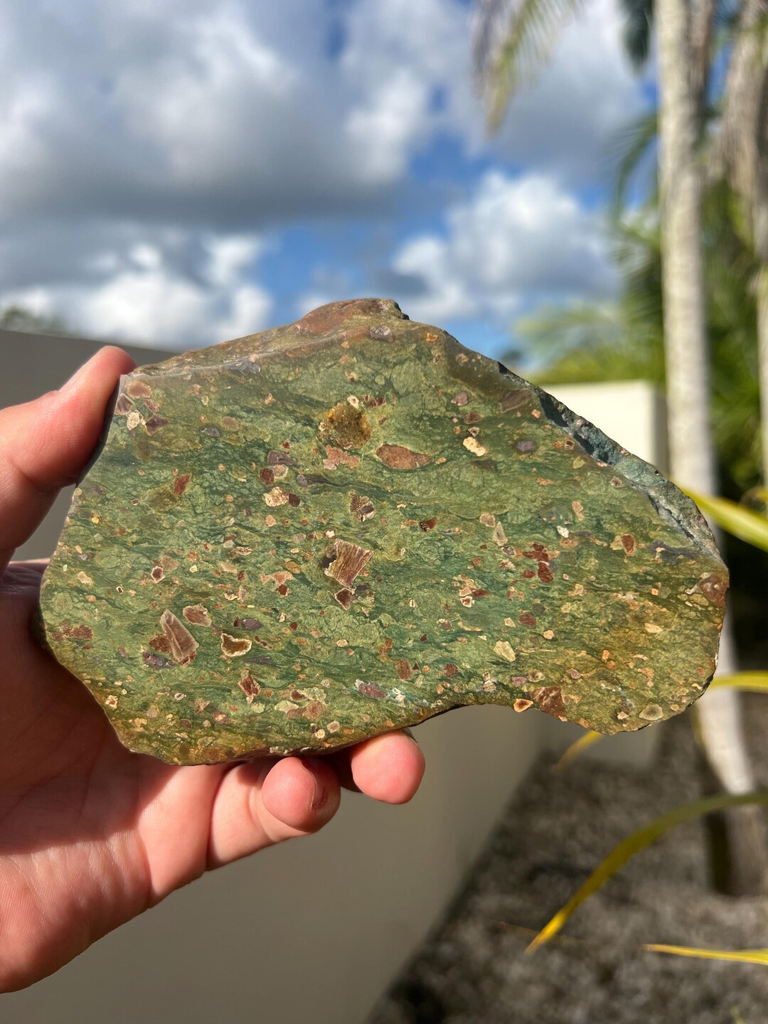 Australian Polished Rainforest Rhyolite Slab 500 Grams Rhyolite Natural ...