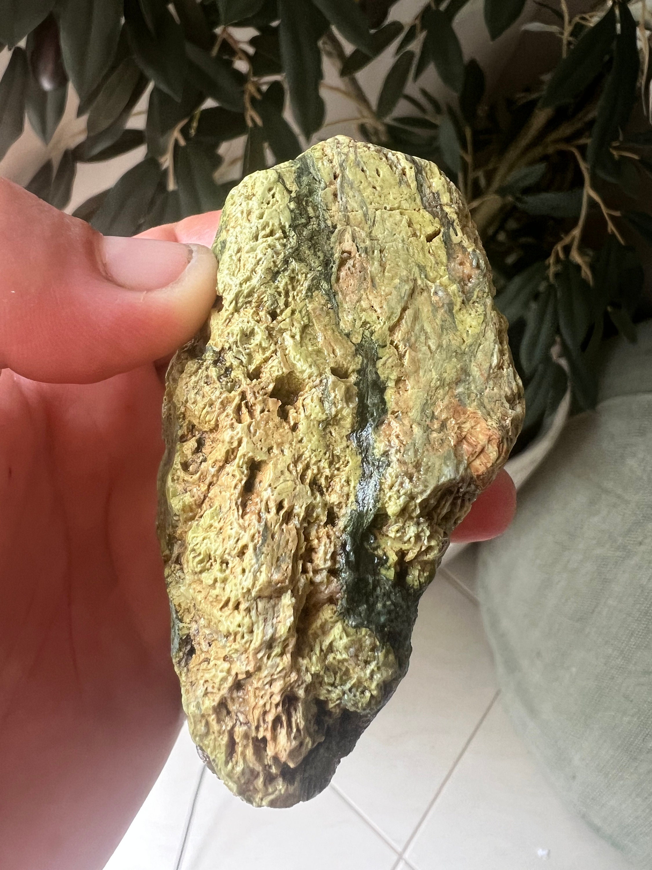 Australian Rough Chert in Phyllite Chunk 324grams Natural Raw Specimen ...