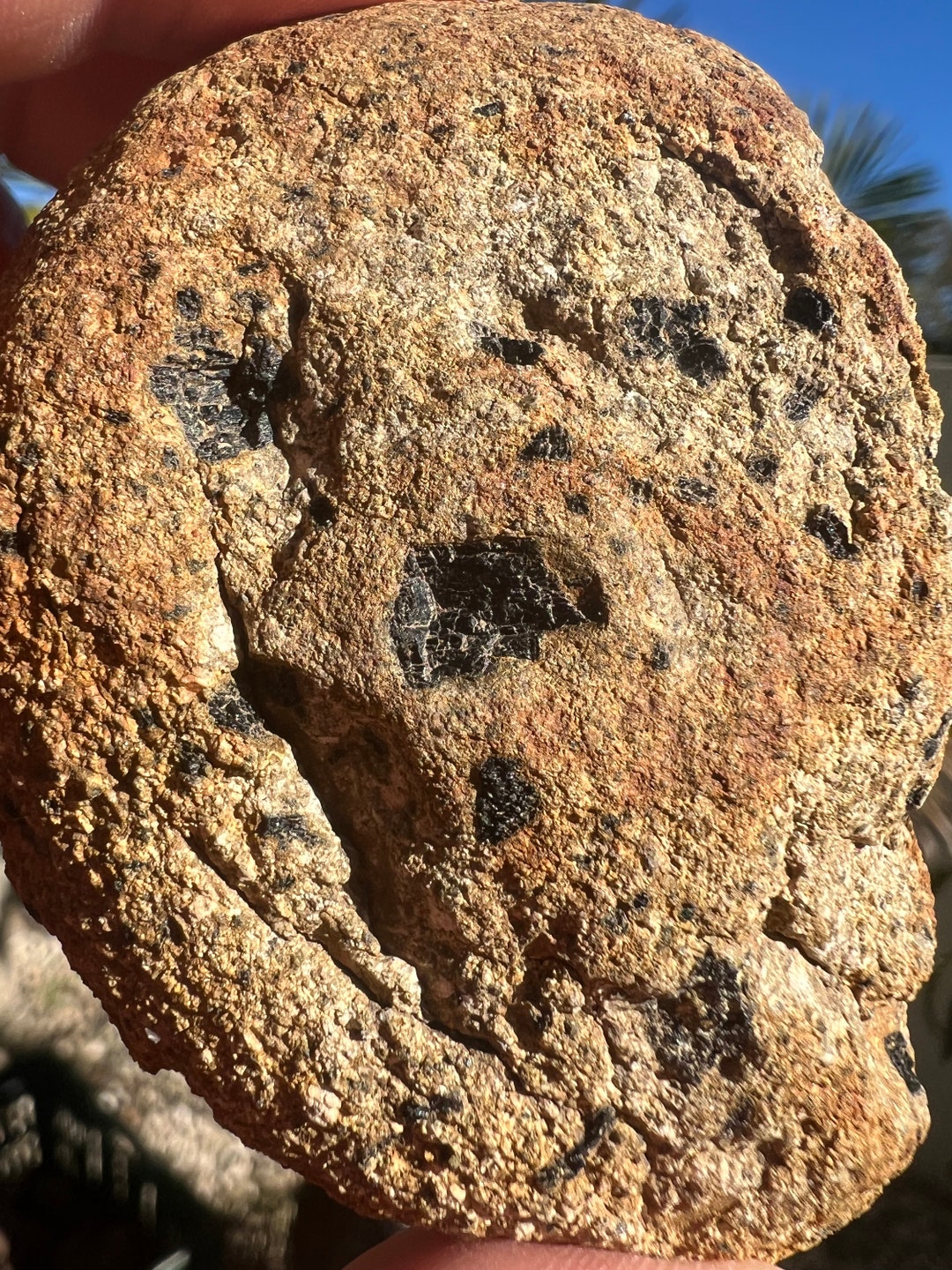 Australian Rough Hornblende 195grams Looks Like a Cookie - Natural ...