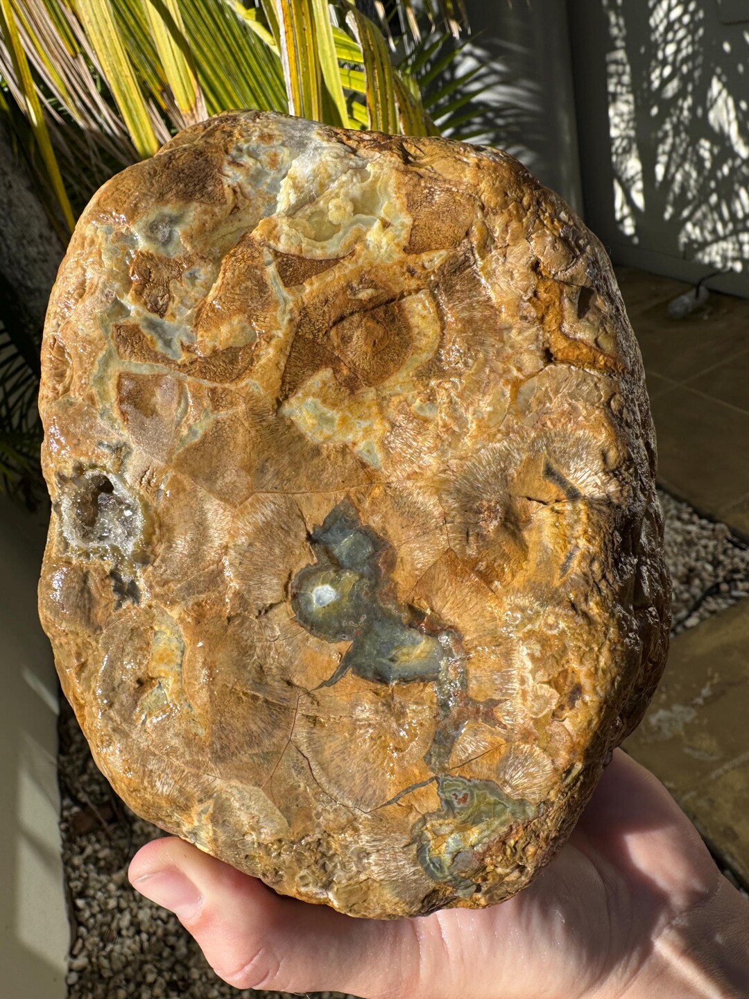 Australian Rough Conglomerate of Thundereggs in a Boulder 4670 Grams ...