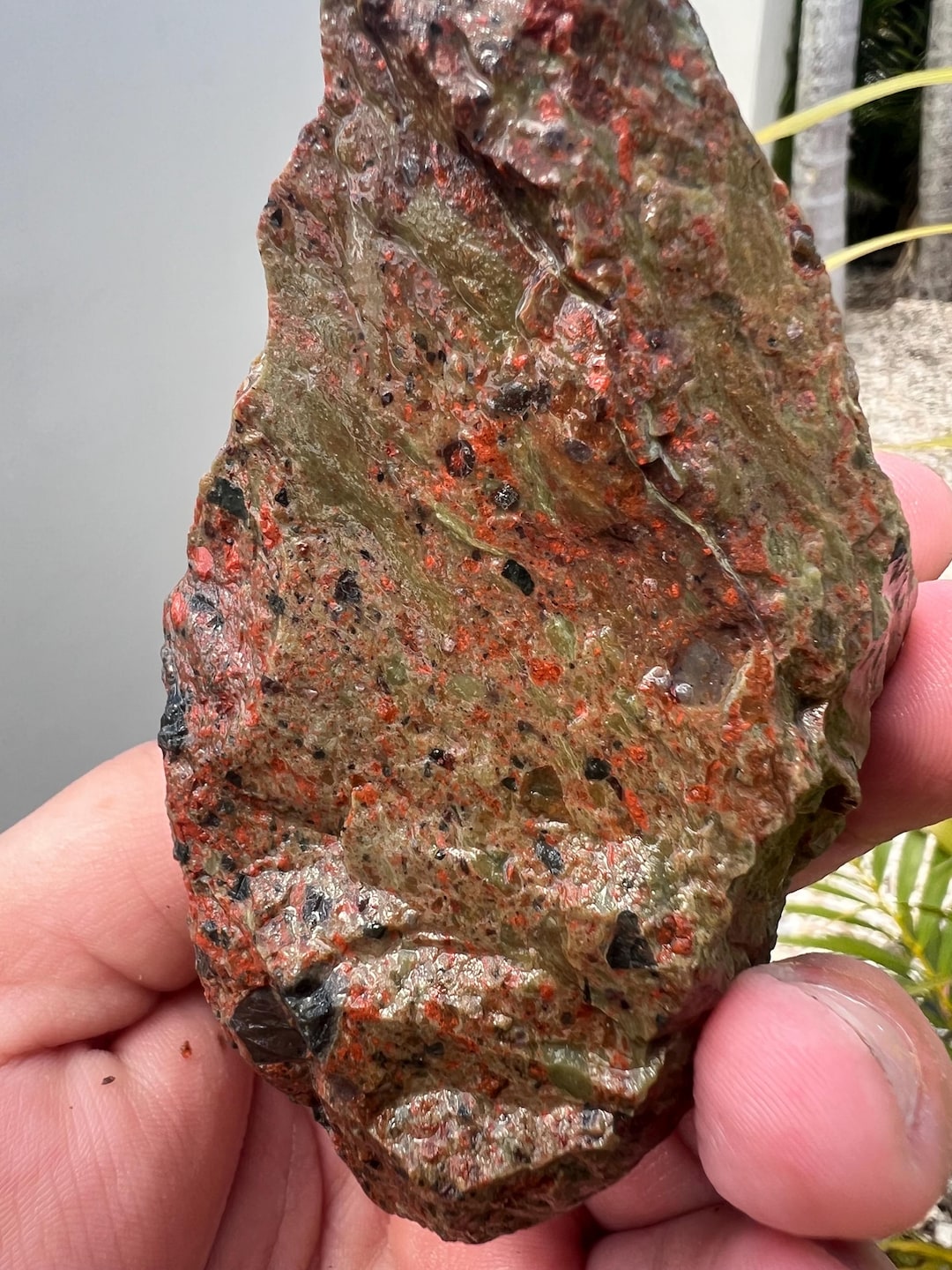 Australian Rough Rhyolite Breccia Chunk 260 Grams Natural Raw Specimen ...
