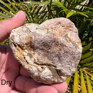 Australian Rough Rhyolite Chunk 240 Grams Natural Raw Specimen ...
