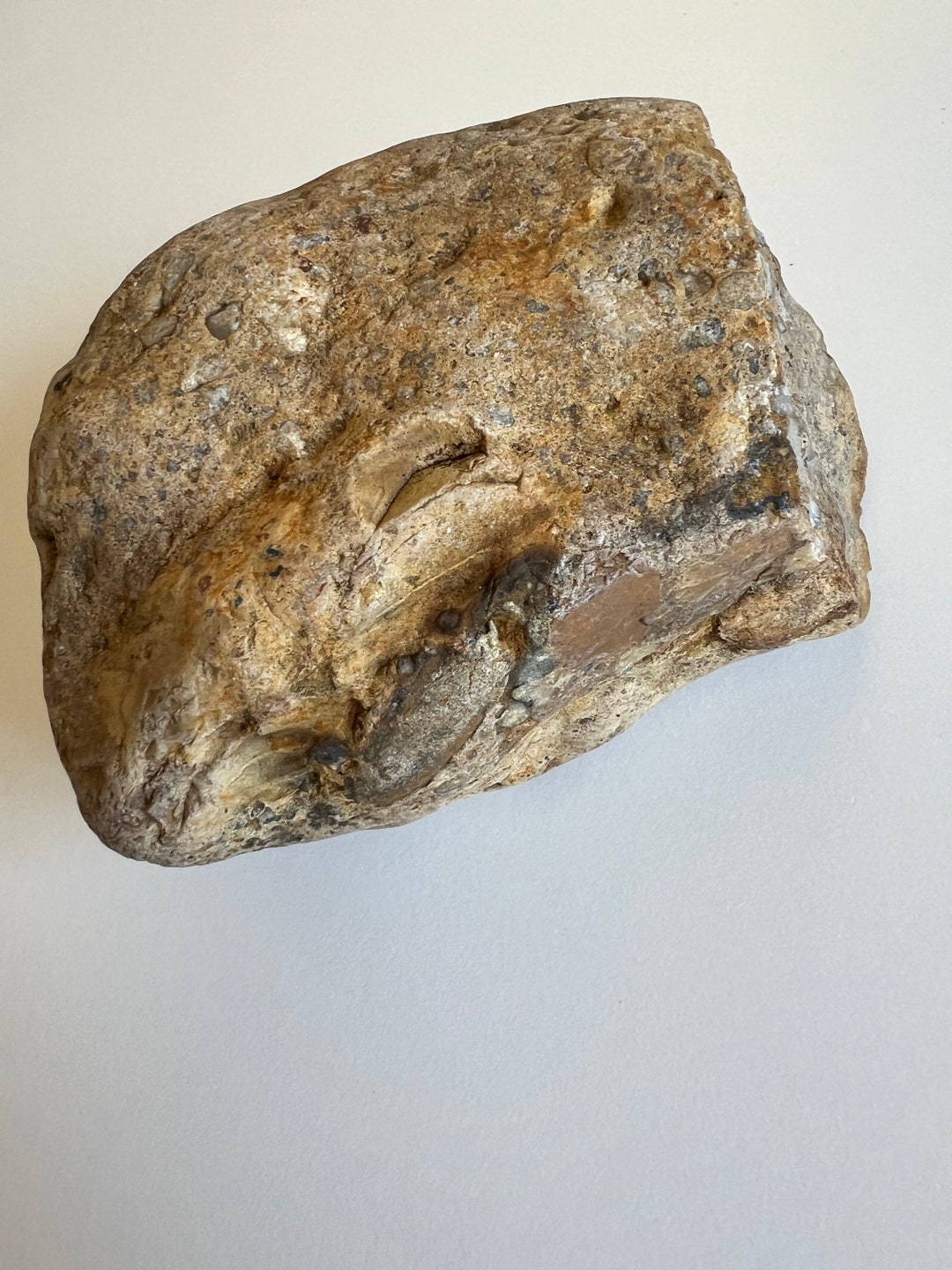 Australian Rough Conglomerate 1545 Grams Chalcedony Silicified ...