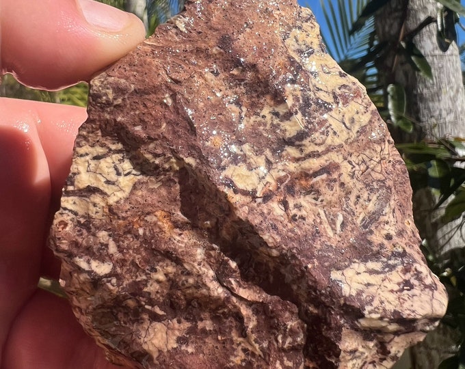 Australian Rough Rainforest Rhyolite Chunk 740 Grams Natural Raw ...
