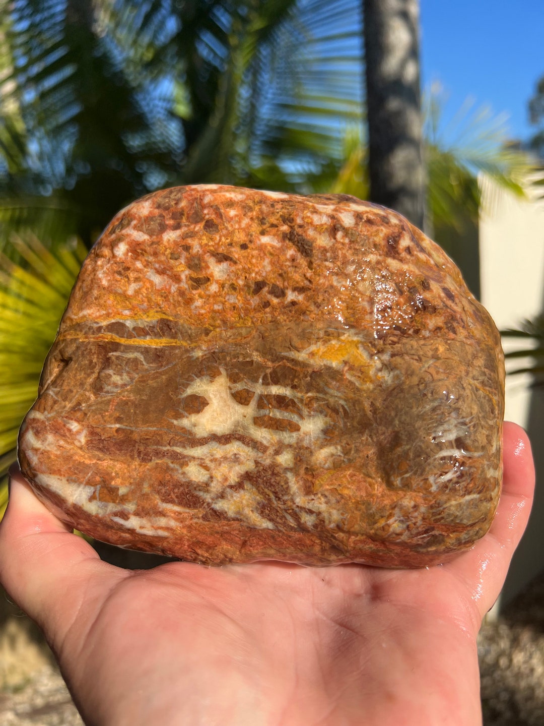 Australian Rough Brecciated Jasper Chalcedony Rhyolite Chunk 1360 Grams ...