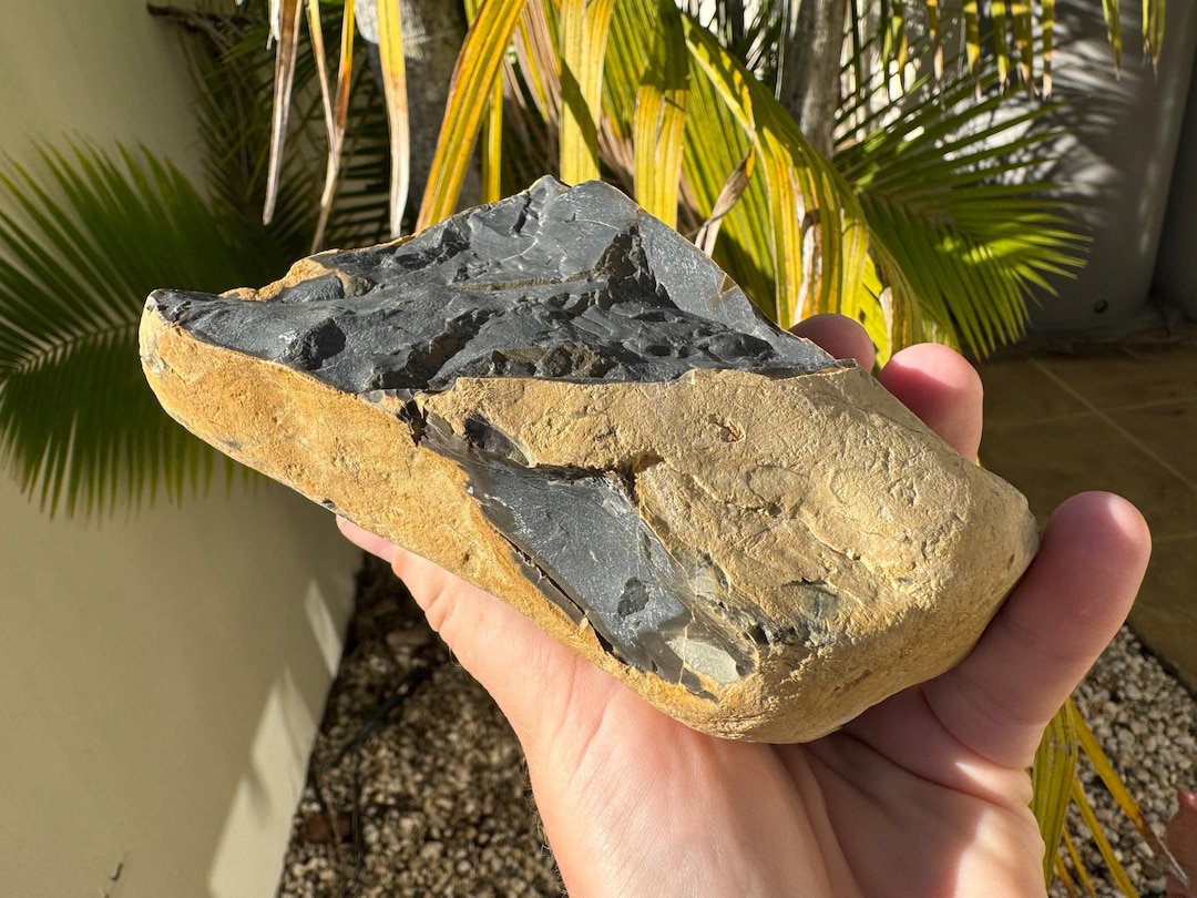 Australian Rough Black Smooth Chert 1940 Grams Natural Raw Specimen ...