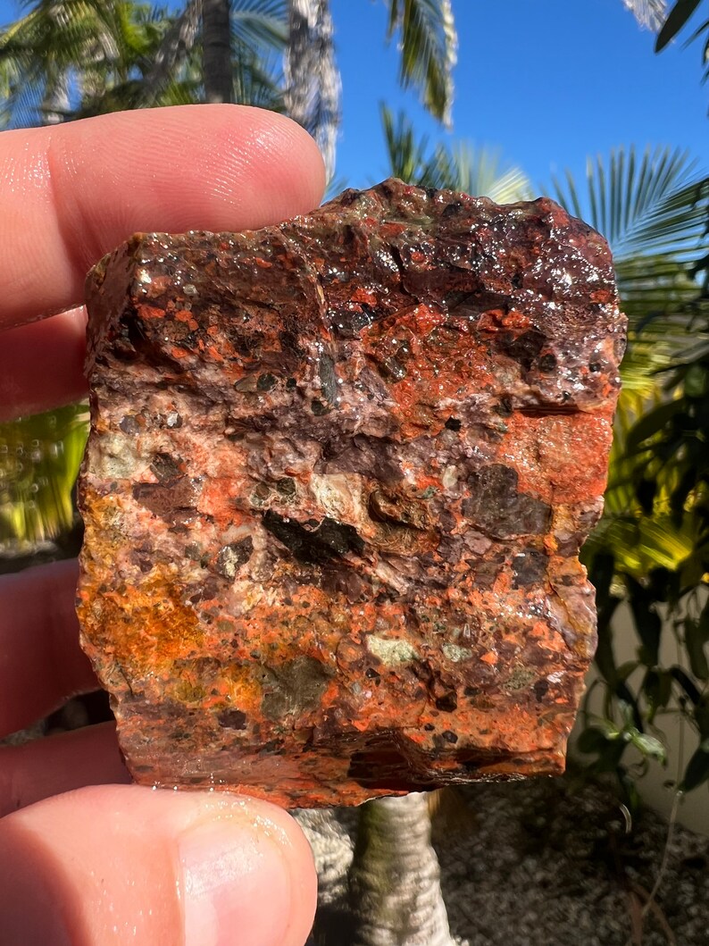 Australian Rough Breccia Rhyolite Chunk 236 Grams Natural Raw Specimen ...