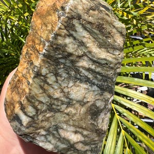 Australian Rough Gemmy Chalcedony Chert 1530 Grams Natural Raw Specimen ...