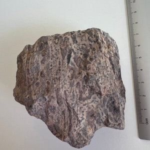 Australian Rough Rhyolite Chunk 310 Grams Natural Raw Specimen ...