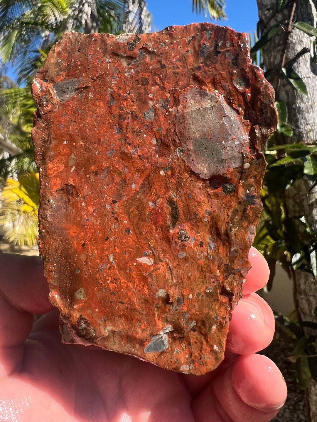 Australian Rough Breccia Rhyolite Chunk 490 Grams Natural Raw Specimen ...