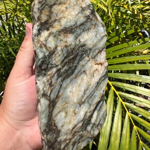 Australian Rough Gemmy Chalcedony Chert 1530 Grams Natural Raw Specimen ...