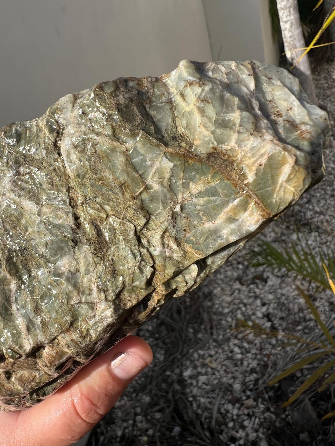 Australian Rough Gemmy Chalcedony Chert 1920 Grams Natural Raw Specimen ...