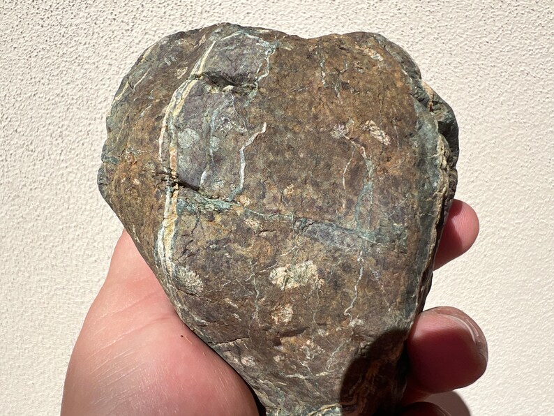 Australian Rough Rainforest Rhyolite Chunk 740 Grams Natural Raw ...
