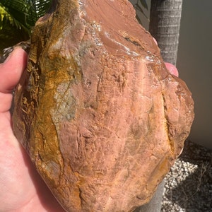 Australian Rough Waterline Jasper Chert 1120 Grams Natural Raw Specimen ...