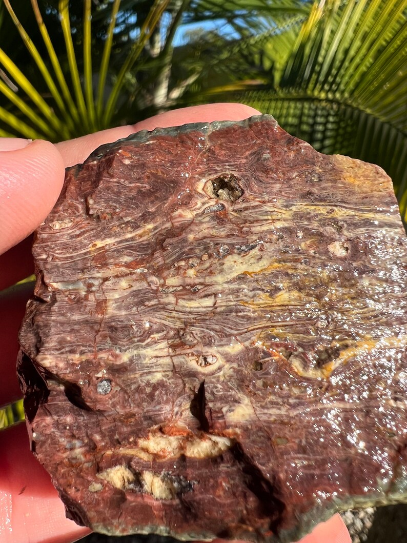 Australian Rough Breccia Rhyolite Chunk 178 Grams With Dendrite Natural ...