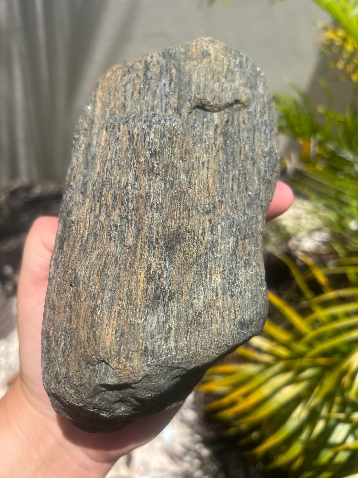 Australian Rough Sparkling Mica Schist 1960 Grams High Quality Natural ...