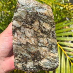Australian Rough Gemmy Chalcedony Chert 1530 Grams Natural Raw Specimen ...