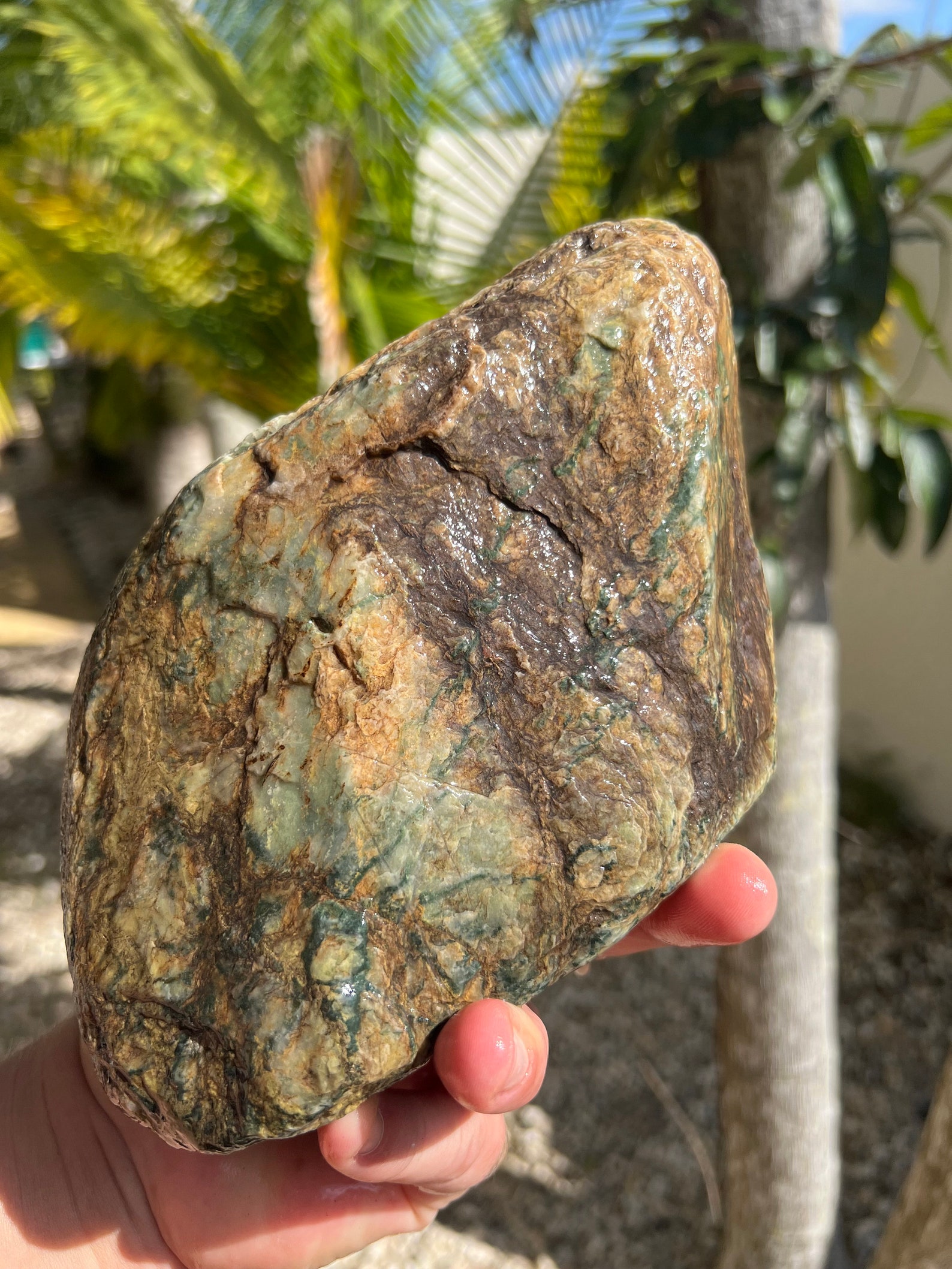 Australian Rough Green Blue Chalcedony Chert 2850 Grams Natural Raw ...