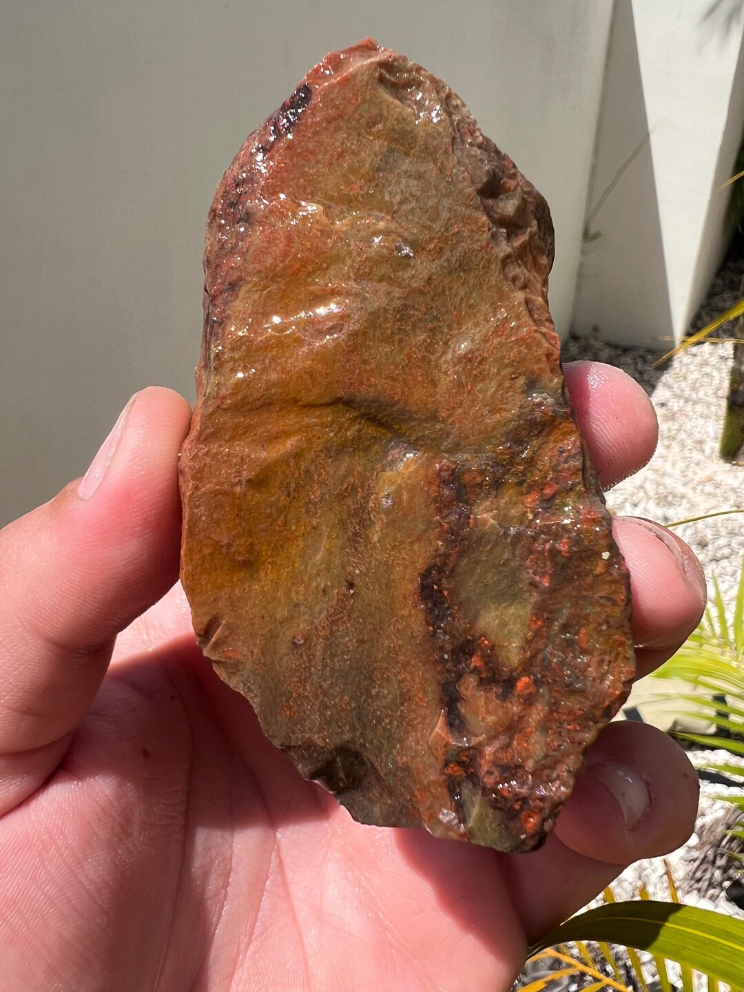 Australian Rough Rhyolite Breccia Chunk 218 Grams Rhyolite Natural Raw ...