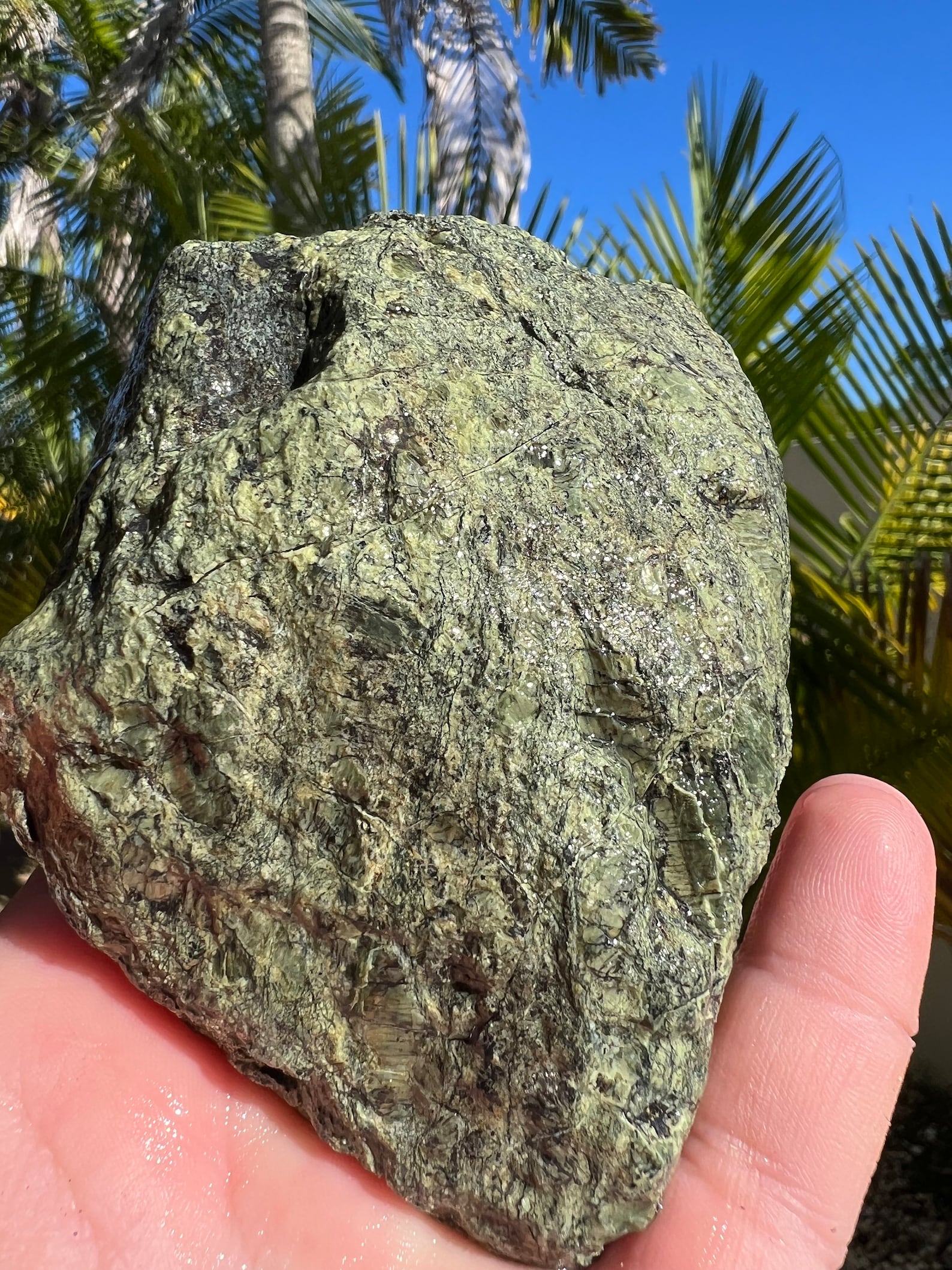 Australian Rough Serpentine Serpentinite Chunk 540 Grams Natural Raw ...