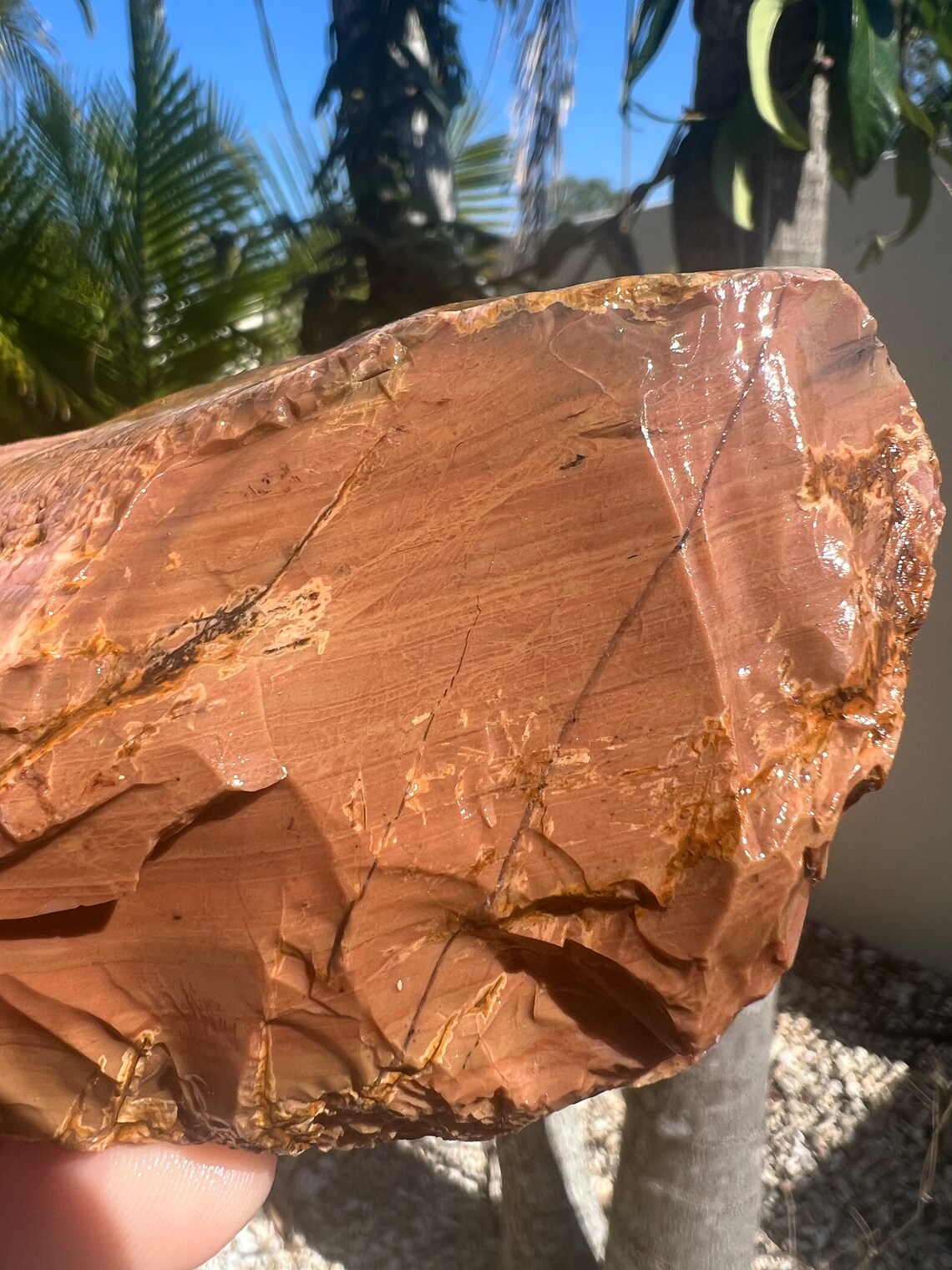 Australian Rough Waterline Jasper Chert 1120 Grams Natural Raw Specimen ...
