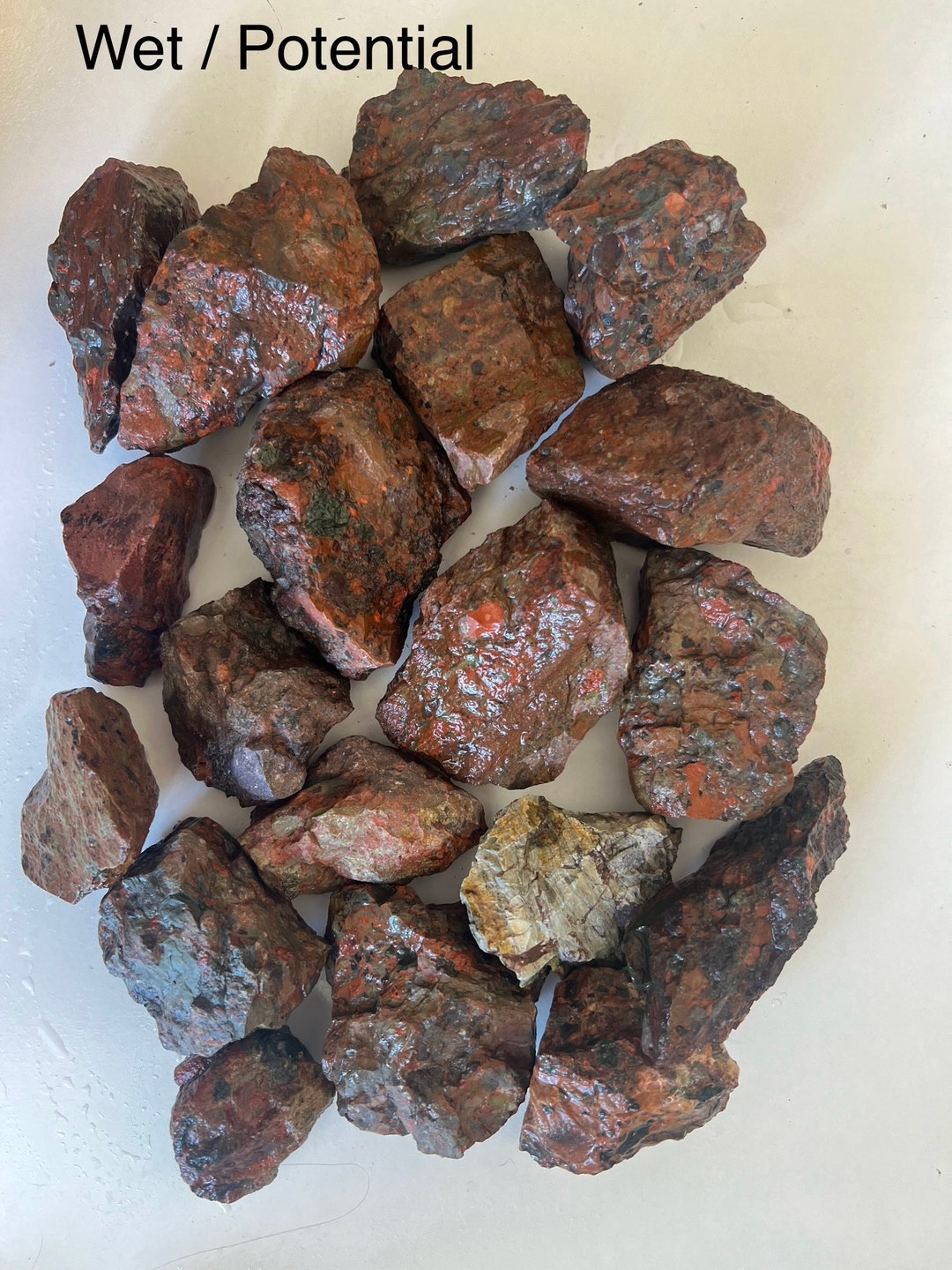 Bulk 19pc Australian Rough Chalcedony Breccia Rhyolite Chunks Natural ...