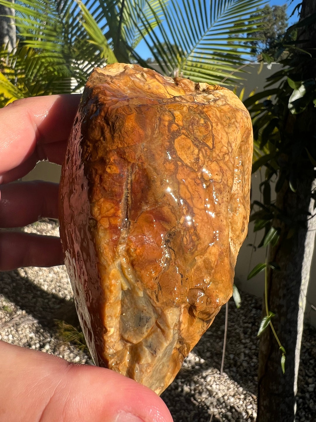 Australian Rough Breccia Agate Chalcedony 1900 Grams Natural Agate ...