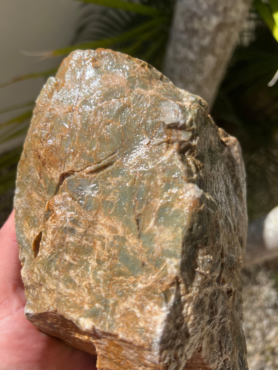 Australian Rough Chalcedony Jasper Boulder 2.9 Kilograms Natural Raw ...