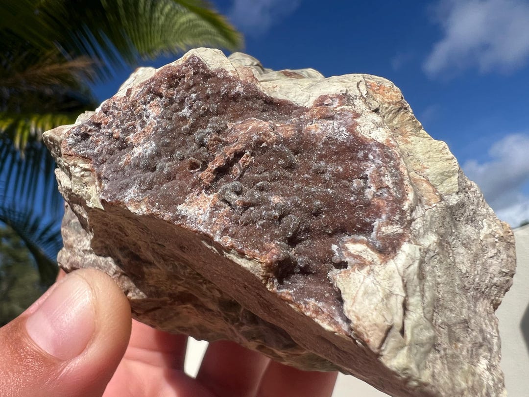 Australian Rough Thunderegg Botryoidal Amethyst Druzy Boulder Chunk 344 ...