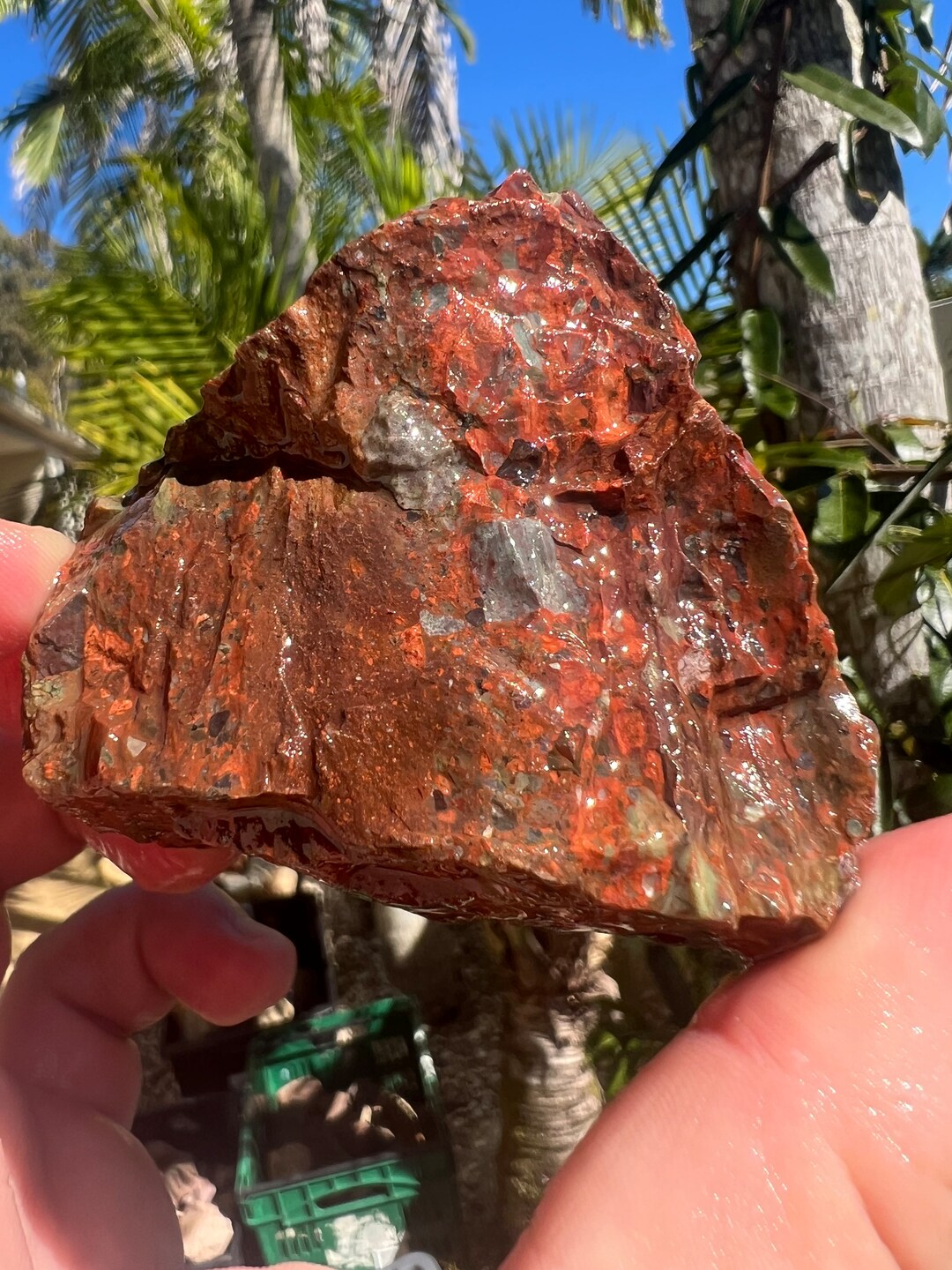 Australian Rough Breccia Rhyolite Chunk 250 Grams Natural Raw Specimen ...