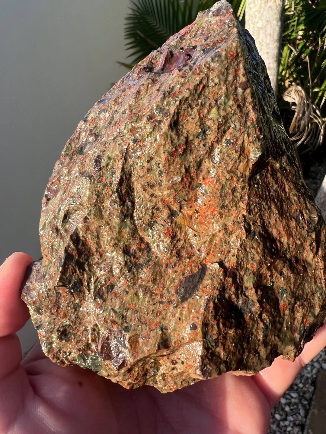 Australian Rough Rhyolite Breccia Chunk 670 Grams Natural Raw Specimen ...